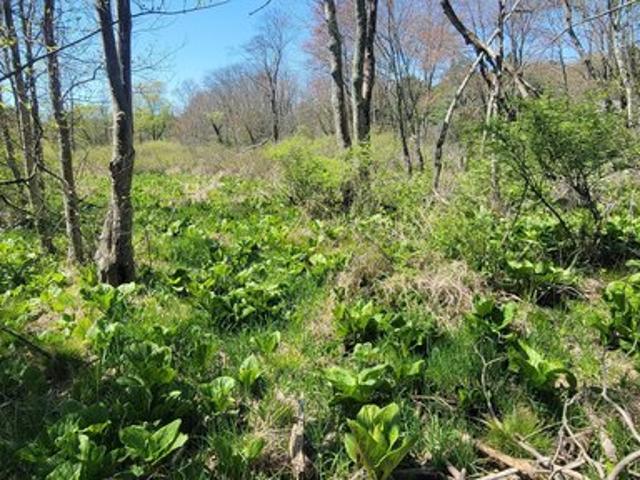 Lower Demunds Rd, Dallas, PA 18612