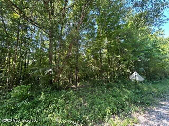 Lower Gloster Road, Crosby, MS 39633