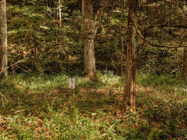 Lower Hollertop Rd Lot 34, Campton, KY 41301