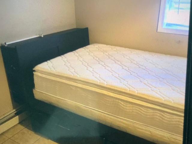 Lower lever room for rent