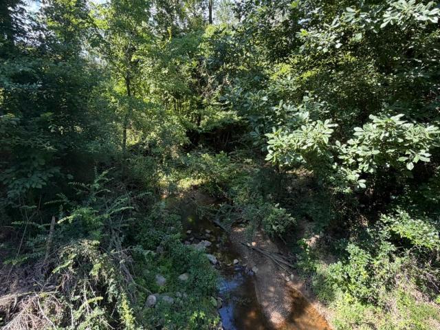 Lower Liberty Gloster Road, Liberty, MS 39645