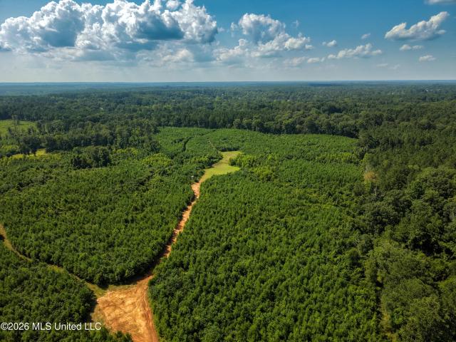 Lower Liberty Gloster Road, Liberty, MS 39645