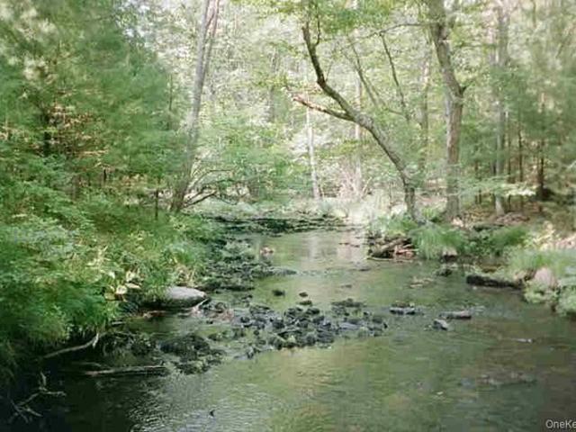 Lower Lumber Rd Lot 592, Glen Spey, NY 12737