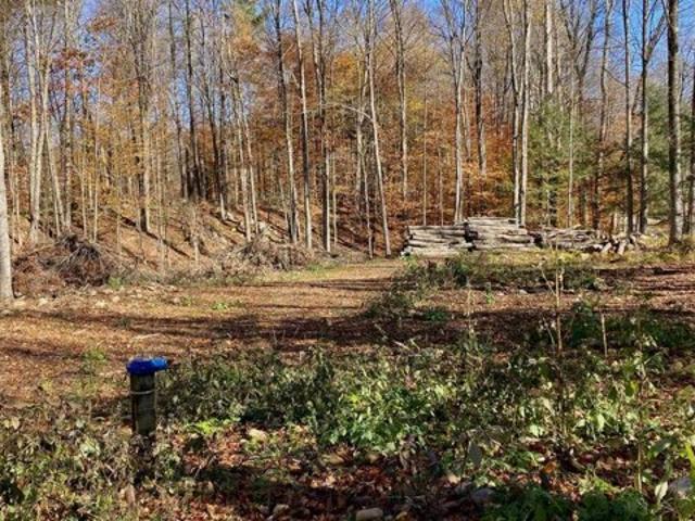 Lower Middle Rd Lot,chittenden, Plot For Sale