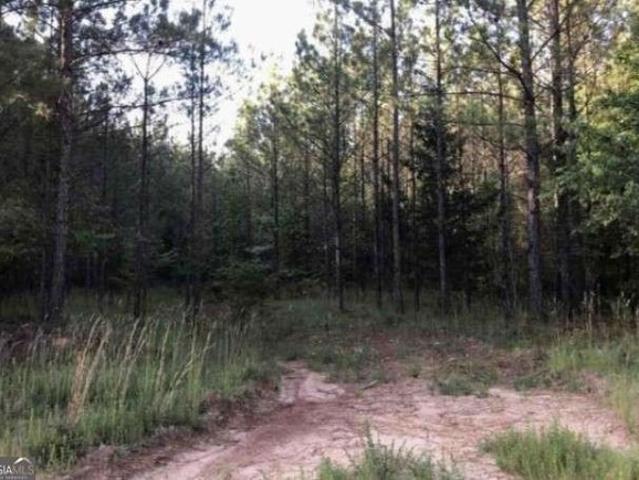 Lower Mill Rd, Crawfordville, GA 30631