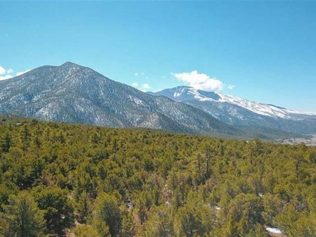 Lower Pinabete Rd Lot 41, Questa, NM 87556