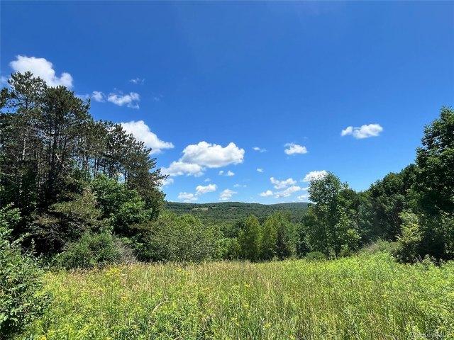 Lower Pond Dahlia Rd W, Livingston Manor, NY 12758
