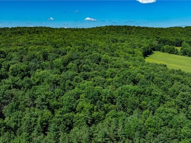 Lower Ravine Rd, Norwich, NY 13815