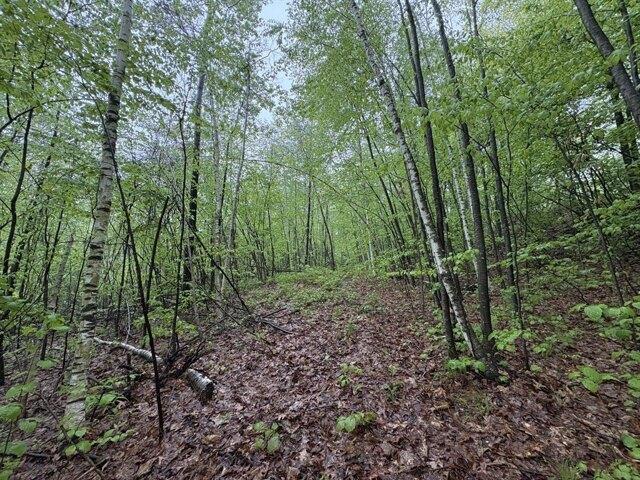 Lower Rd, Deerfield, Plot For Sale