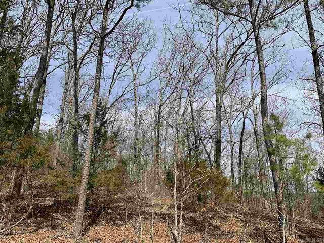 Lower Ridge Cir Lot 68, Edgemont, AR 72044