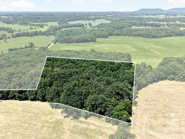 Lowery Rd, Smithville, TN 37166