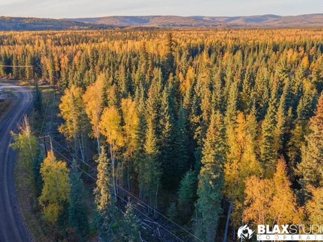Lowood St Lot 5, North Pole, AK 99705