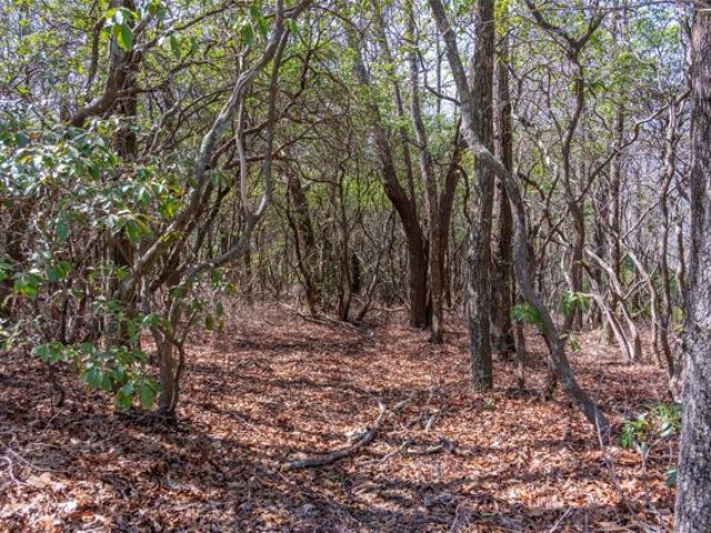 Ls 14 Lakeside Dr Lot LS14, Lake Toxaway, NC 28747