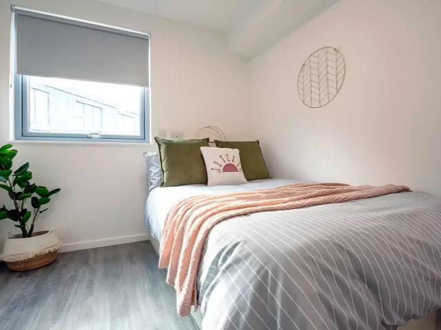 LST Greenwich Collective Studios, London Student Accommodation | Amber