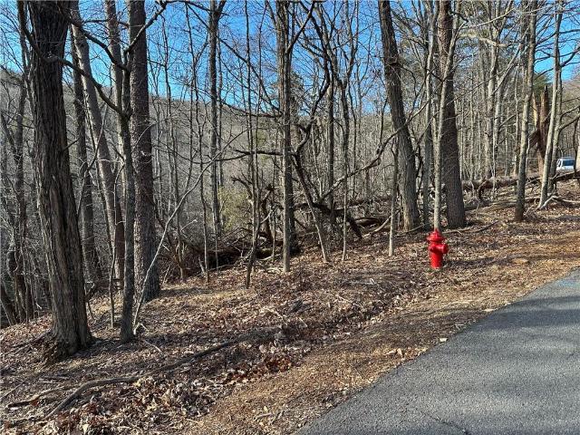 Lt1141 Oglethorpe Mt Rd, Jasper, GA 30143 | MLS #7528 | Compass