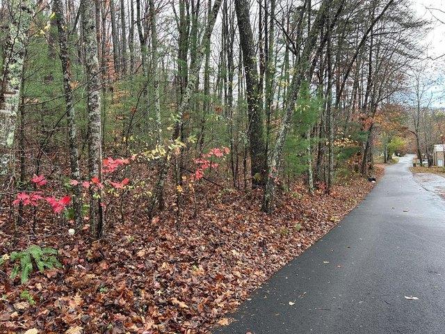 Lt1213 Butternut Grove Rd Lots 12 & 13, Blairsville, GA 30512
