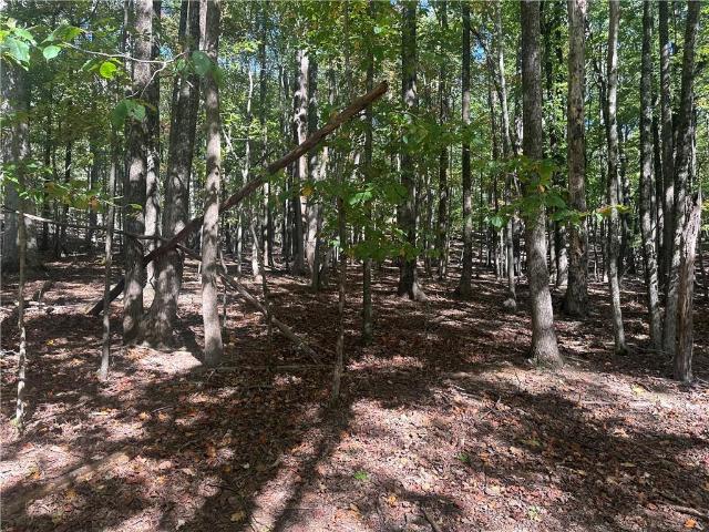 Lt1352 Willow Ter, Jasper, GA 30143 | MLS #7664 | Compass