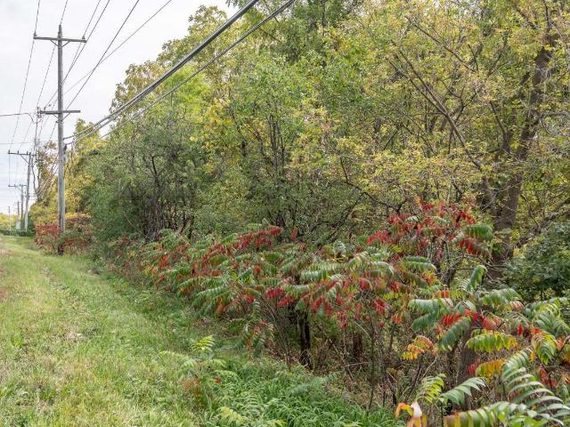 Lt1 Saylesville Rd, Waukesha, WI 53189 | MLS #1935