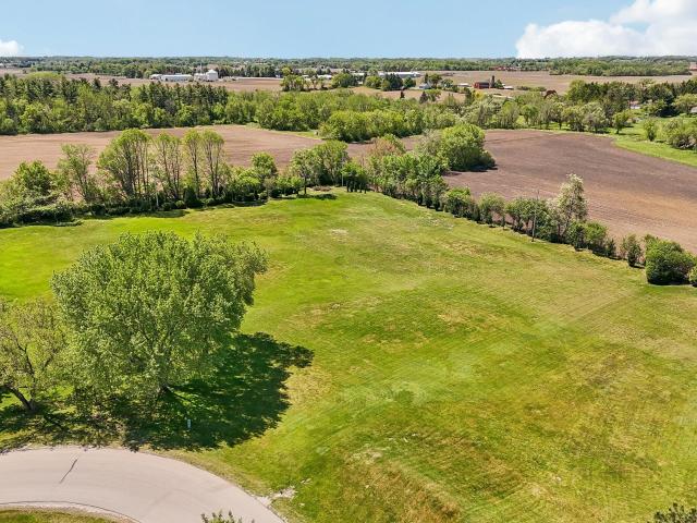 Lt1 Treeview Dr