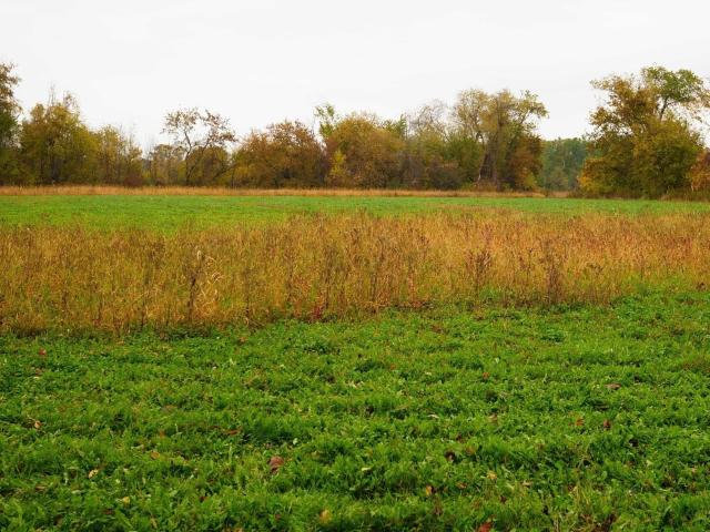 Lt2 County Road, Waldo, WI 53093 | MLS #1939