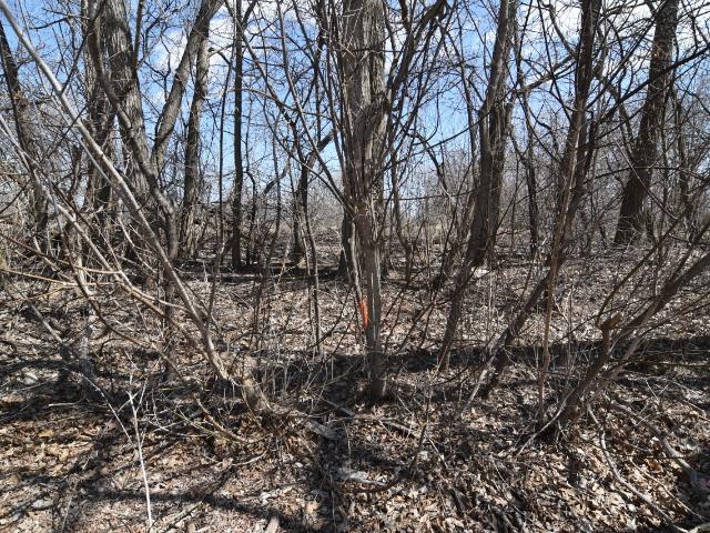 Lt2 N Lannon Rd, Lannon, WI 53046 | MLS #1911