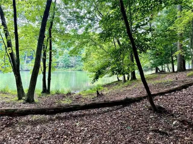 Lt351 Lake View Trace, Jasper, GA 30143
