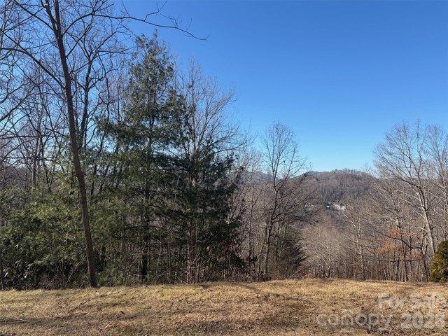 Lt 42 Beechfern Dr Unit 42, Glenville, NC 28736