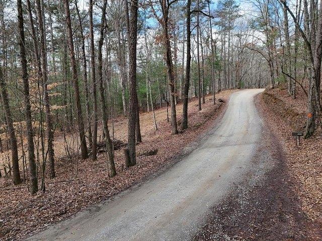 Lt 45A Synacia Dr Lot 45A, Mineral Bluff, GA 30559
