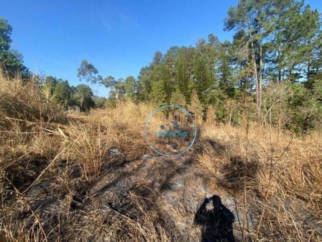 LT 466 Terreno à venda, 5000 m² por R$ 200.000 Chácaras Camargo II São Pedro/SP