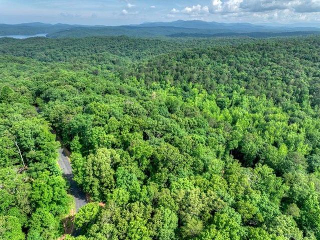 Lt 61 N Harris Creek Dr Lot 61, Ellijay, GA 30540