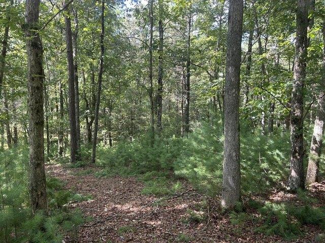 Lt 62 Harmony Way Lot 62, Morganton, GA 30560