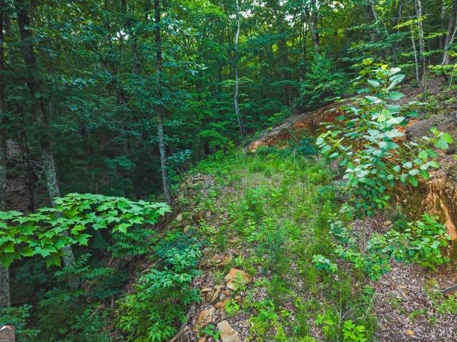 LT 760 Morton Drive