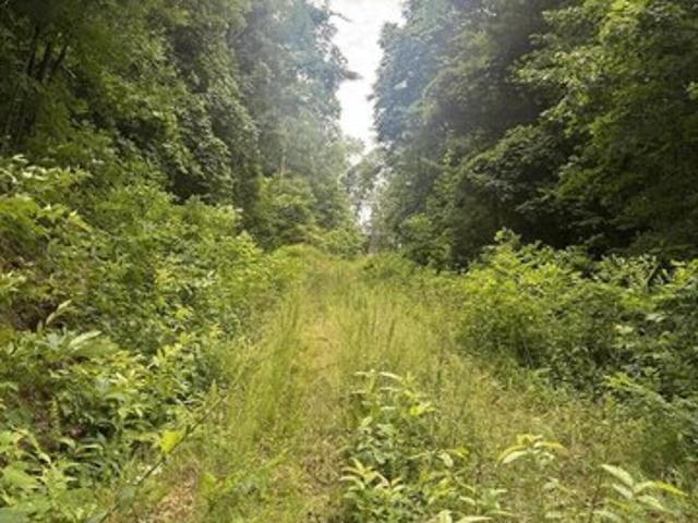 Lt 78 Pitch Pine Dr Lot 78, Sylva, NC 28779