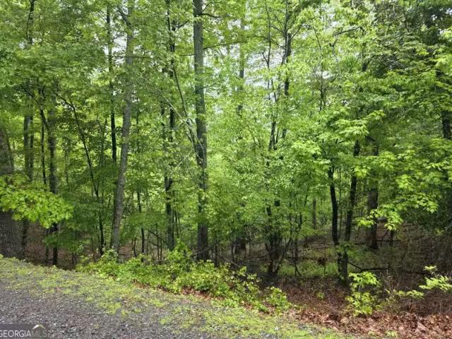 Lt 937 Myna Dr, Ellijay, GA 30540 MLS 10510691