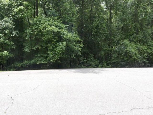 Lt 102 Village Ct Lot 102, Sparta, GA 31087