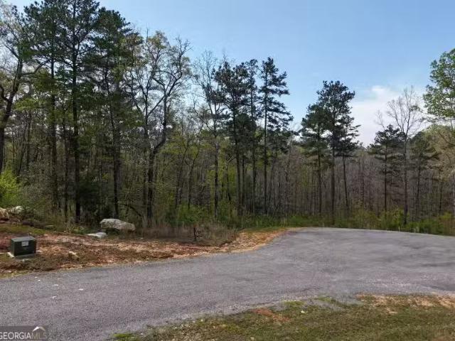 Lt 129 Red Hawk Ln, Ellijay, GA 30540 MLS 10504087