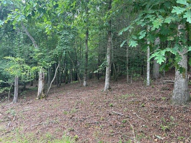Lt 14 Fiddlers Cv Lot 14, Blairsville, GA 30512