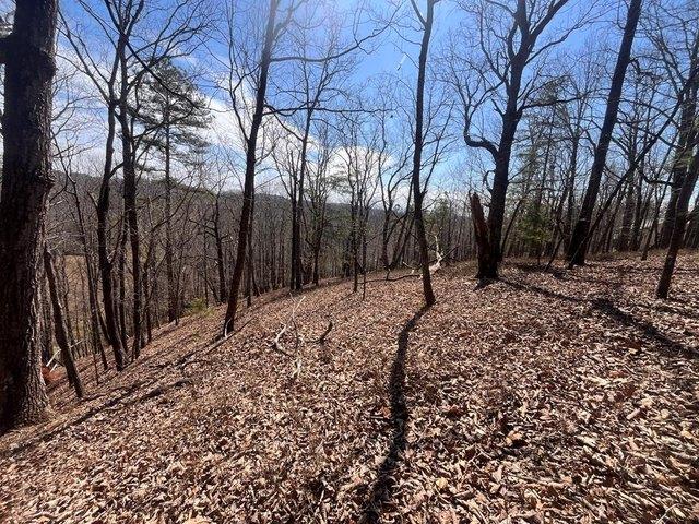 Lt 156 Drena Dr Lot 156, Ellijay, GA 30540