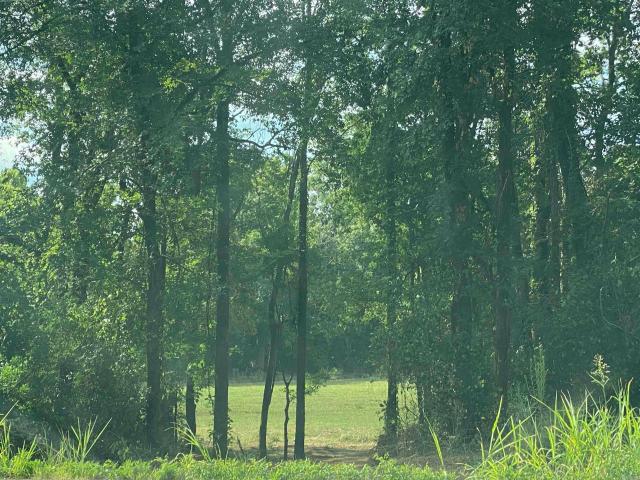 Lt 15 Southfork Hwy 27 North Highway
