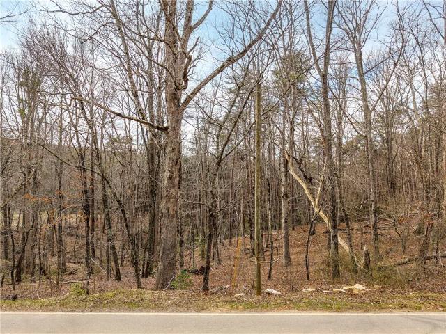 LT 167 Henderson Mountain Road