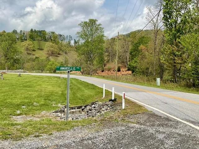 Lt 18 Amaryllis Trl Lot 18, Cullowhee, NC 28723