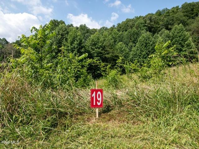 Lt 19 Henry Moss Ln Lot 19, Marble, NC 28905