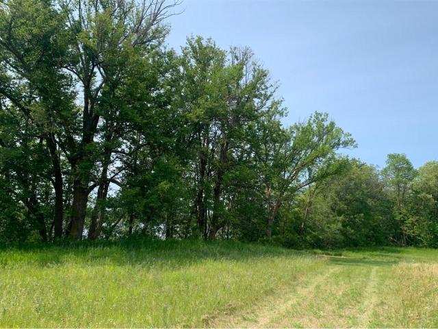 Lt 1 Wood Lake Drive SE