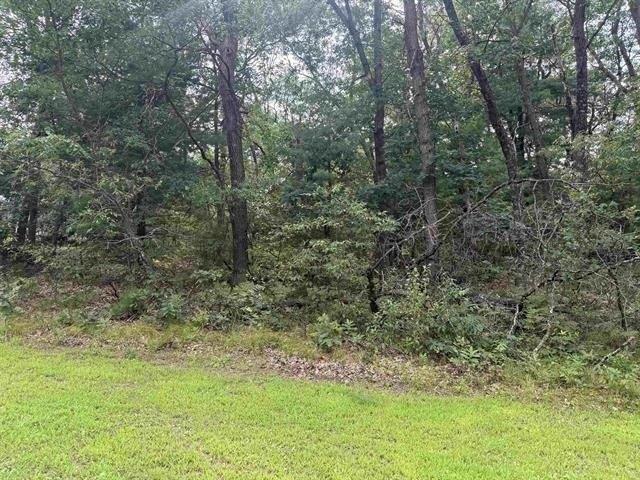 Lt 1 13th Ave Lot 1, Friendship, WI 53934