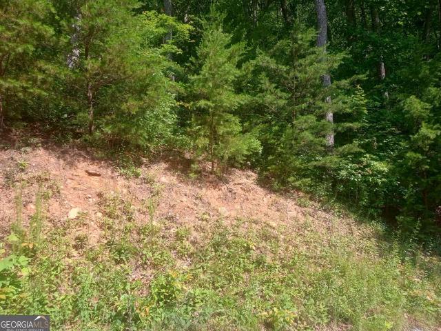 LT 233 Stone Cliff Drive 233
