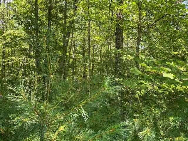 Lt 25 Sandstone Ln, Stephenson, WI 54114 MLS 1885756