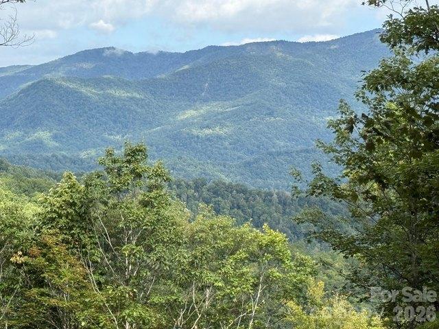 Lt 262 Tote Rd Unit 262, Sylva, NC 28779