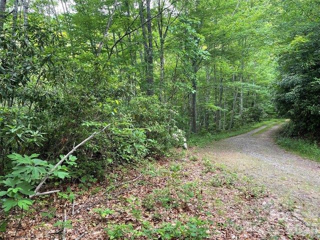 Lt 279 Cabin Flats Rd Unit 279, Balsam, NC 28707