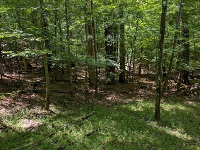 Lt 3079R Monocle Dr Lot 3079R, Ellijay, GA 30540