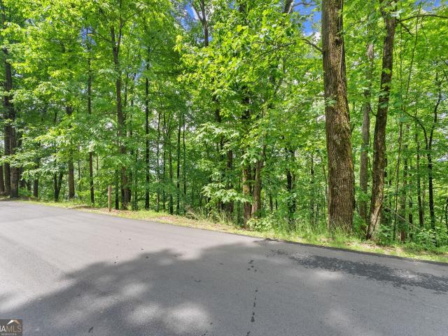 LT 30 Mountainside Drive